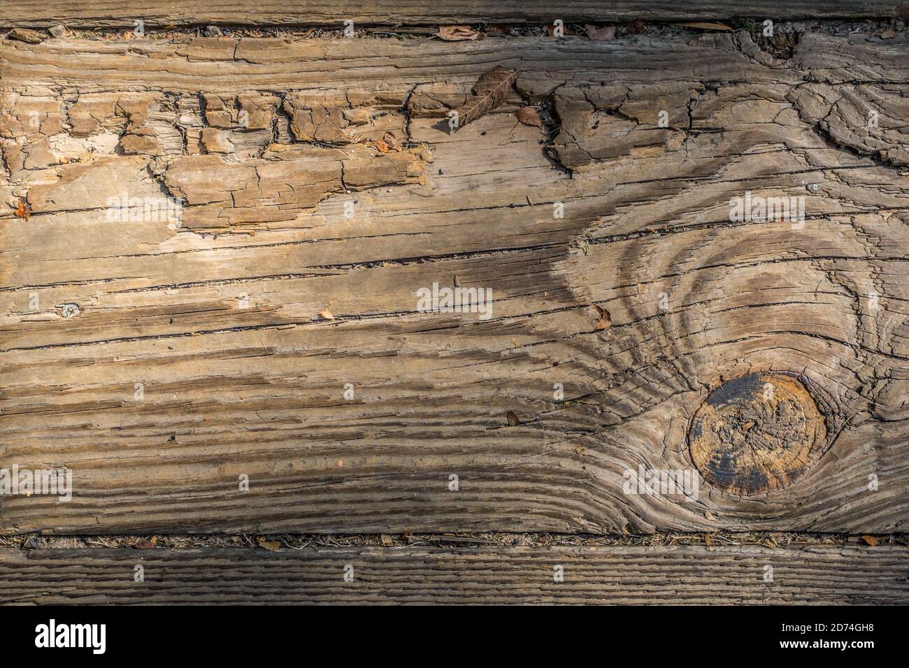 Rustic and weathered wood outdoors with gritty texture and a large knot ...