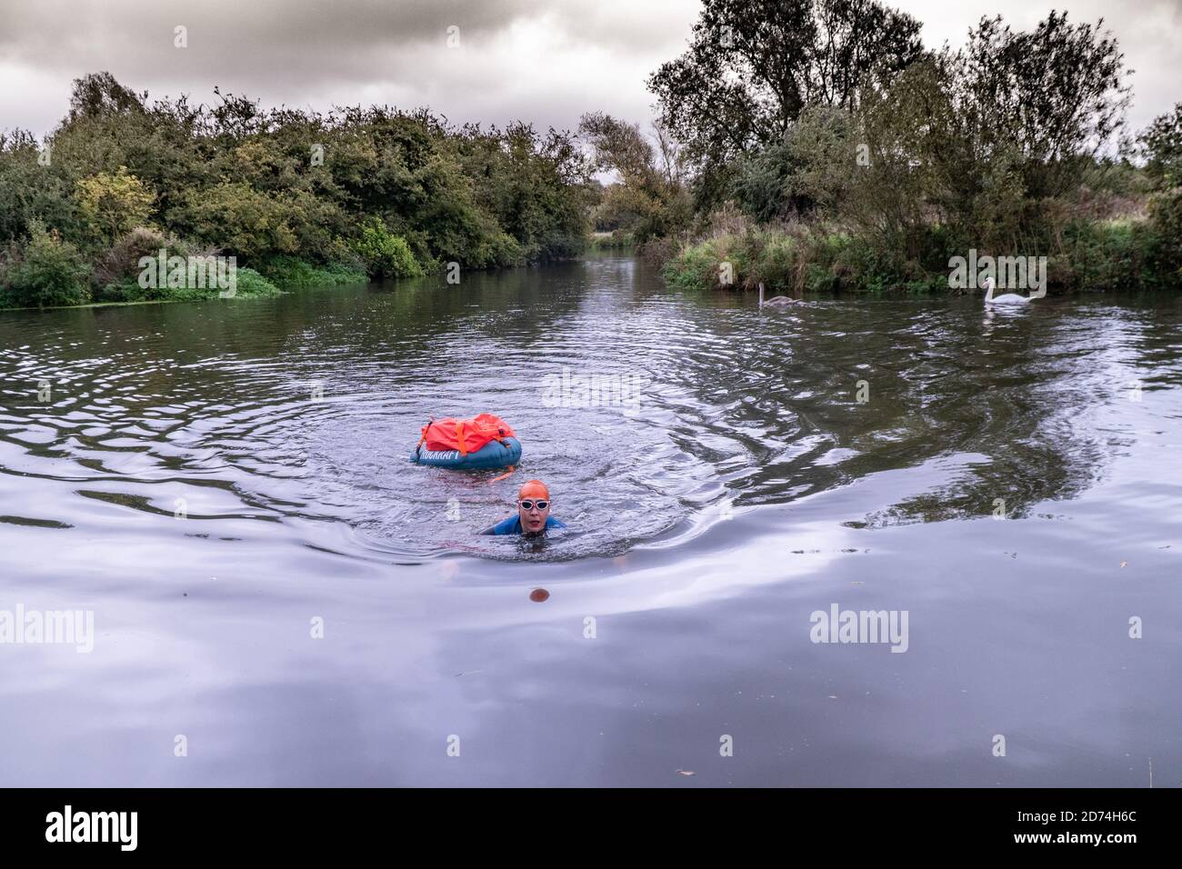 Wild water swimming in the River Cam, Cambridge Stock Photo - Alamy