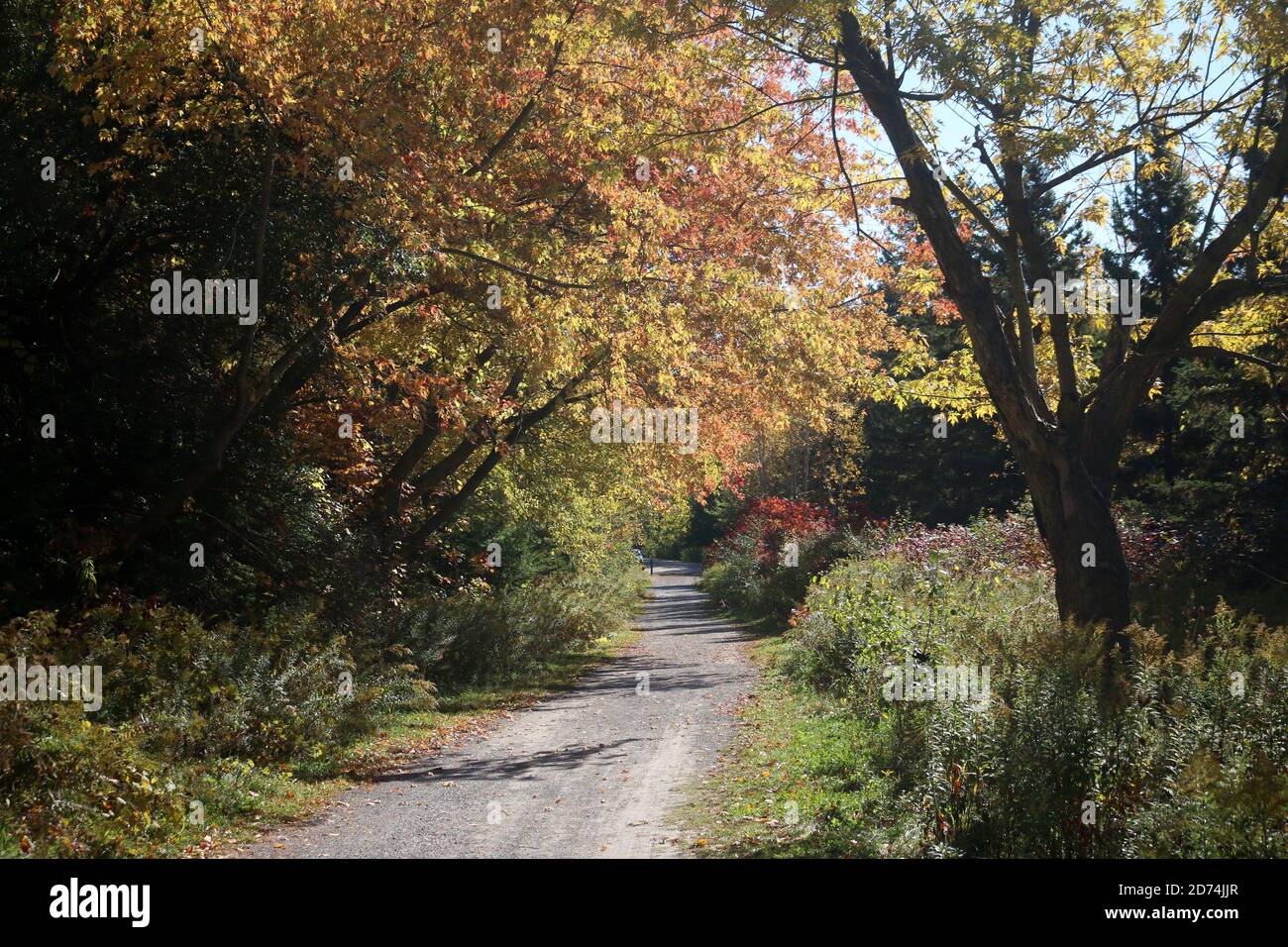 Fall weather in Ontario Stock Photo - Alamy