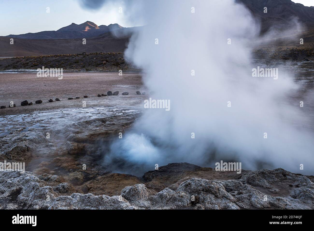 El Tatio Geysers (Geysers del Tatio), the largest geyser field in the ...