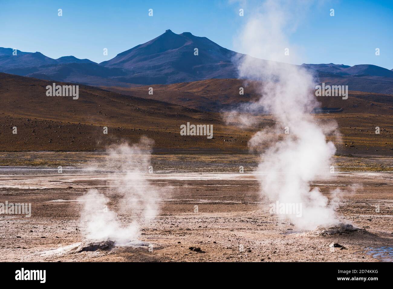 El Tatio Geysers (Geysers del Tatio), the largest geyser field in the ...