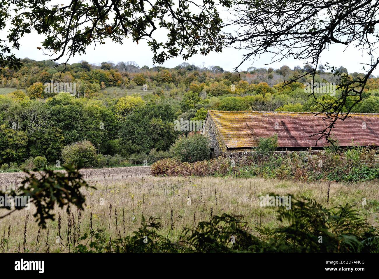 Rural farmland in the Surrey Hills near Abinger Hammer Surrey England ...