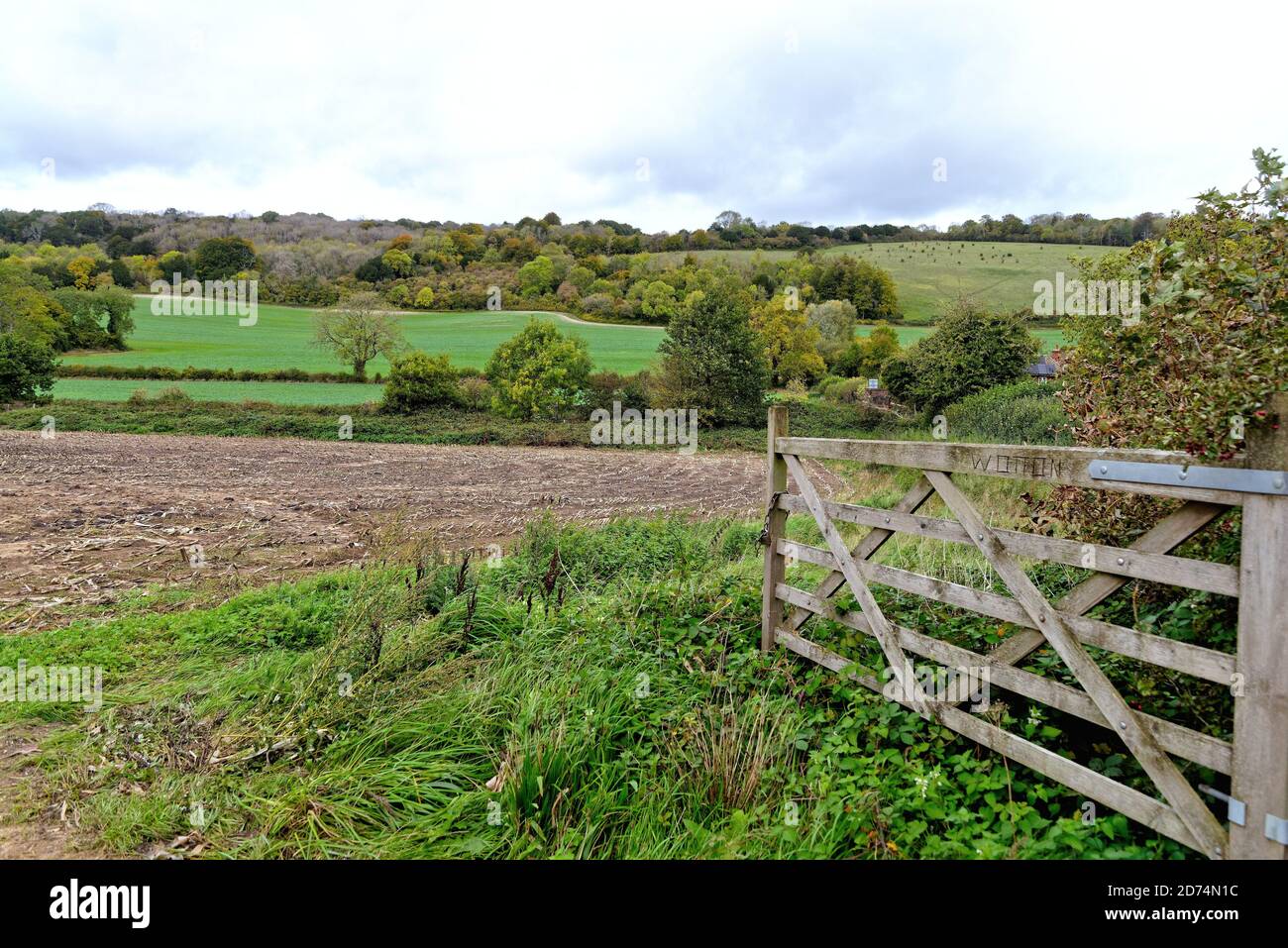 Rural farmland in the Surrey Hills near Abinger Hammer Surrey England ...