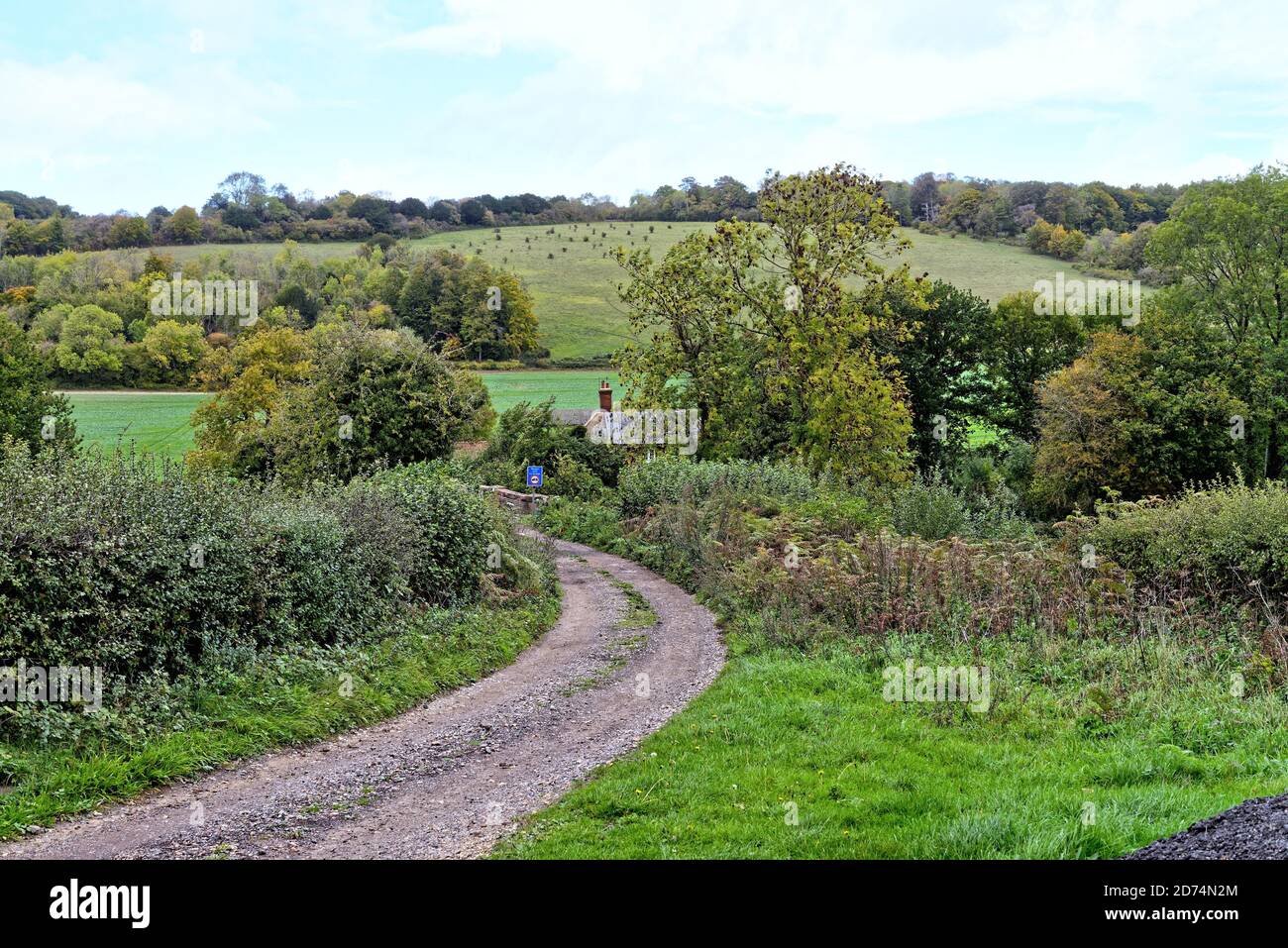 Rural farmland in the Surrey Hills near Abinger Hammer Surrey England ...