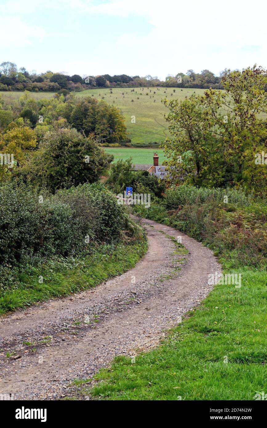 Rural farmland in the Surrey Hills near Abinger Hammer Surrey England ...