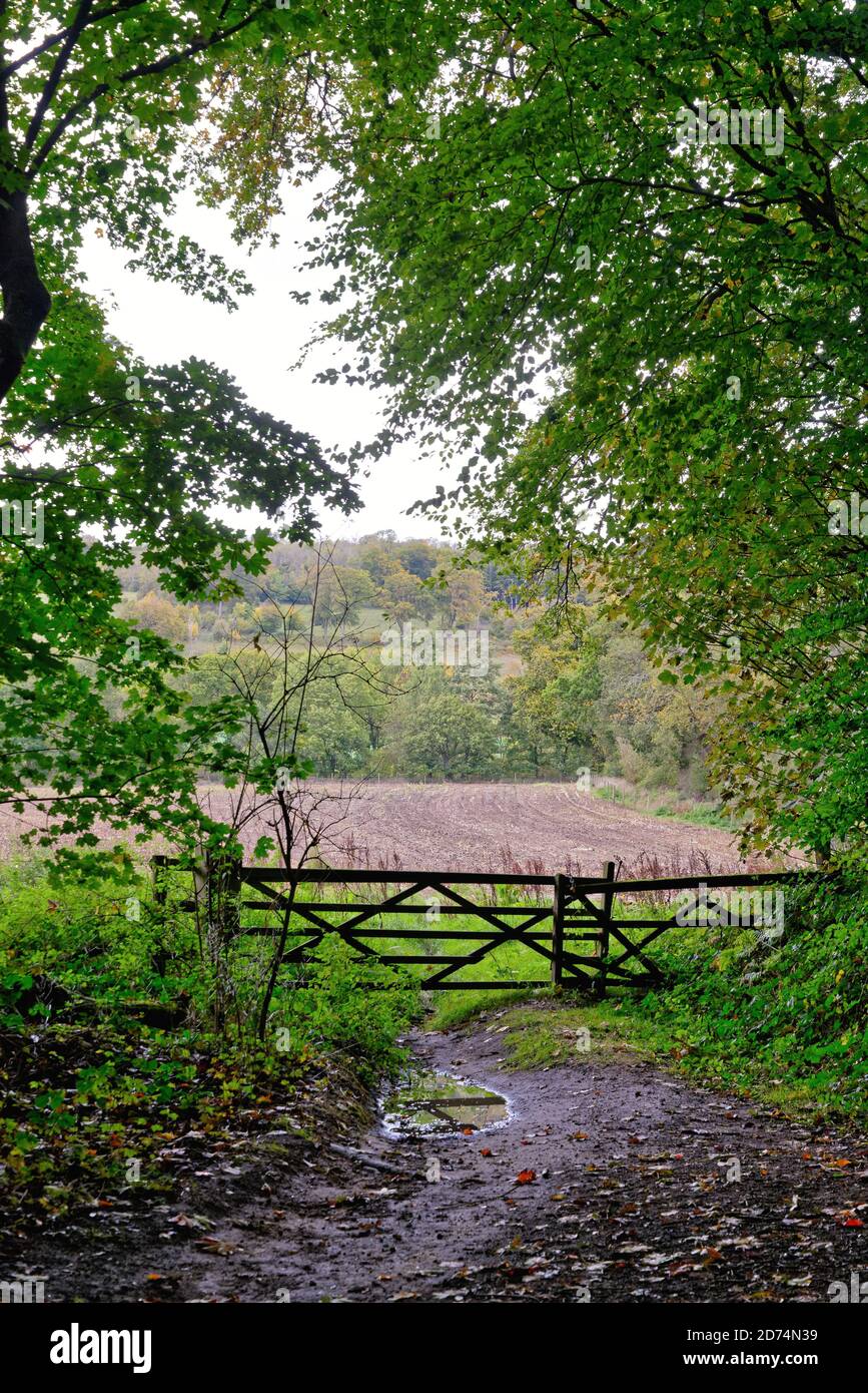 Abinger Hammer Countryside High Resolution Stock Photography and Images ...