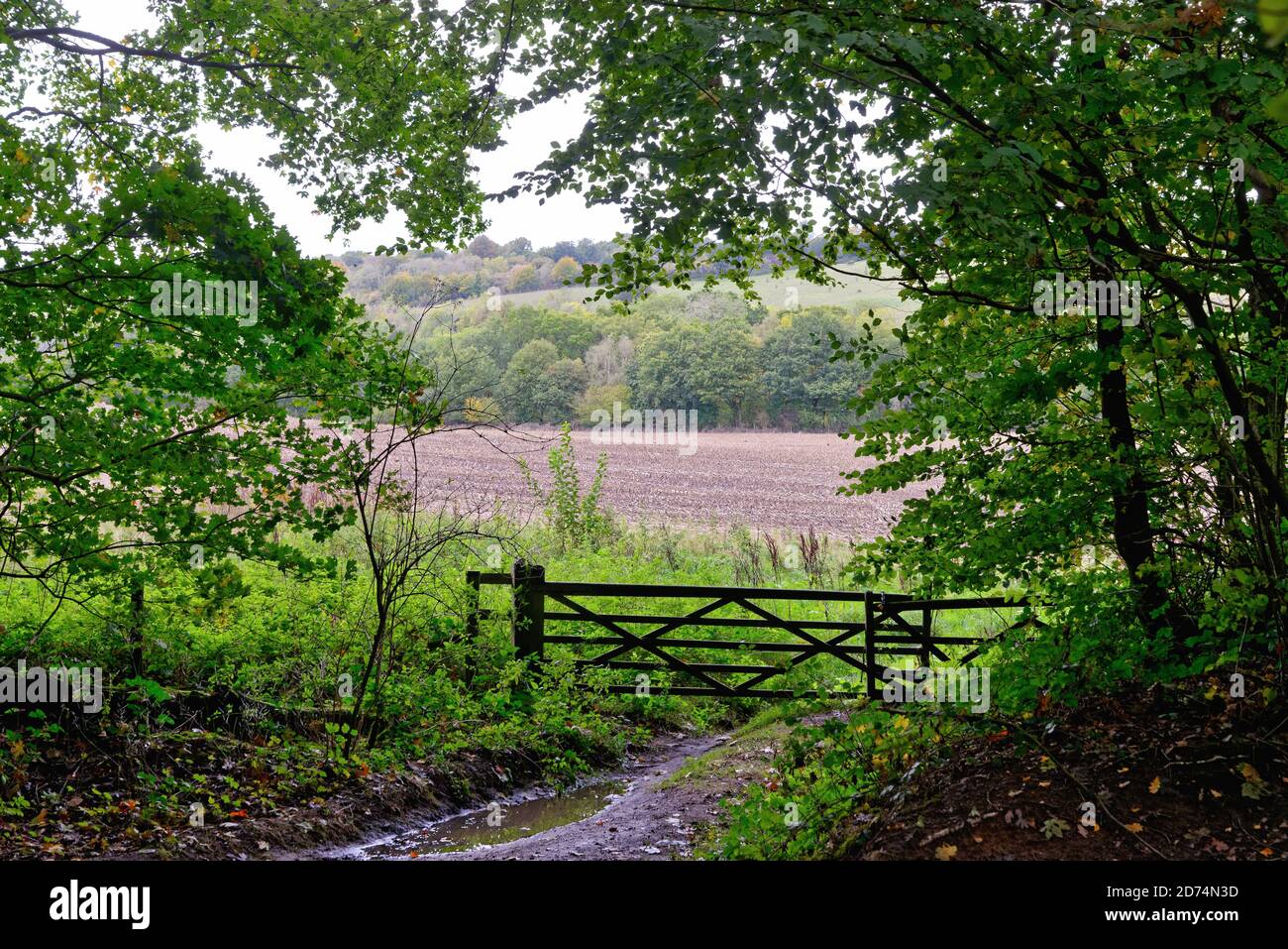 Rural counties hi-res stock photography and images - Alamy
