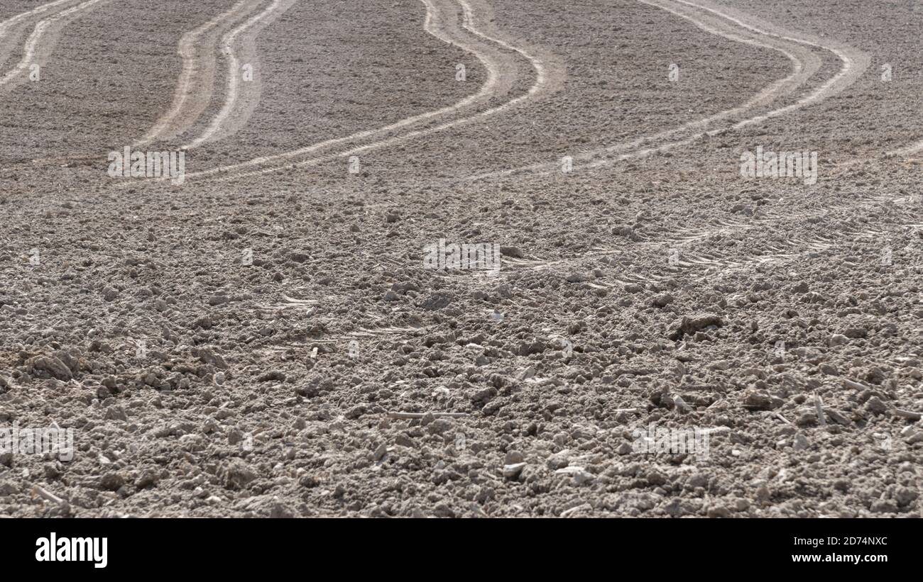 16:9 widescreen field of prepared soil and planted crop. For farming ...