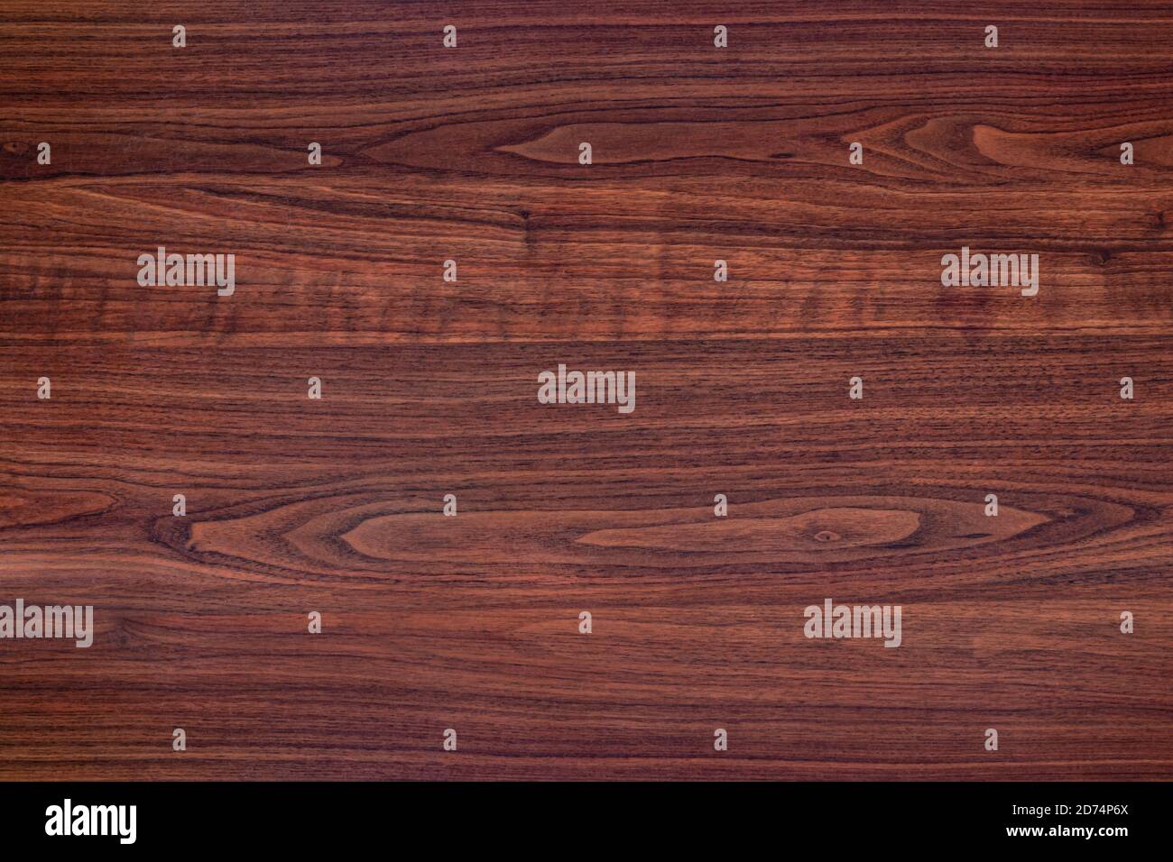 Sapele tree hi-res stock photography and images - Alamy