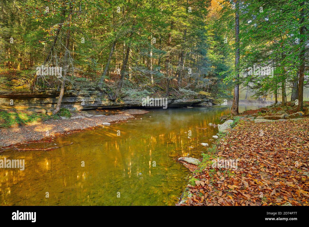 War Creek next to Turkey Foot Campground in the Daniel Boone National ...