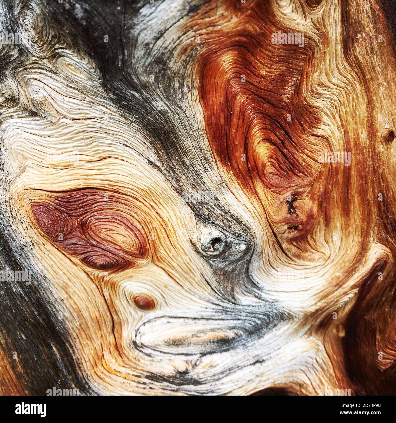 Timber structures hi-res stock photography and images - Alamy