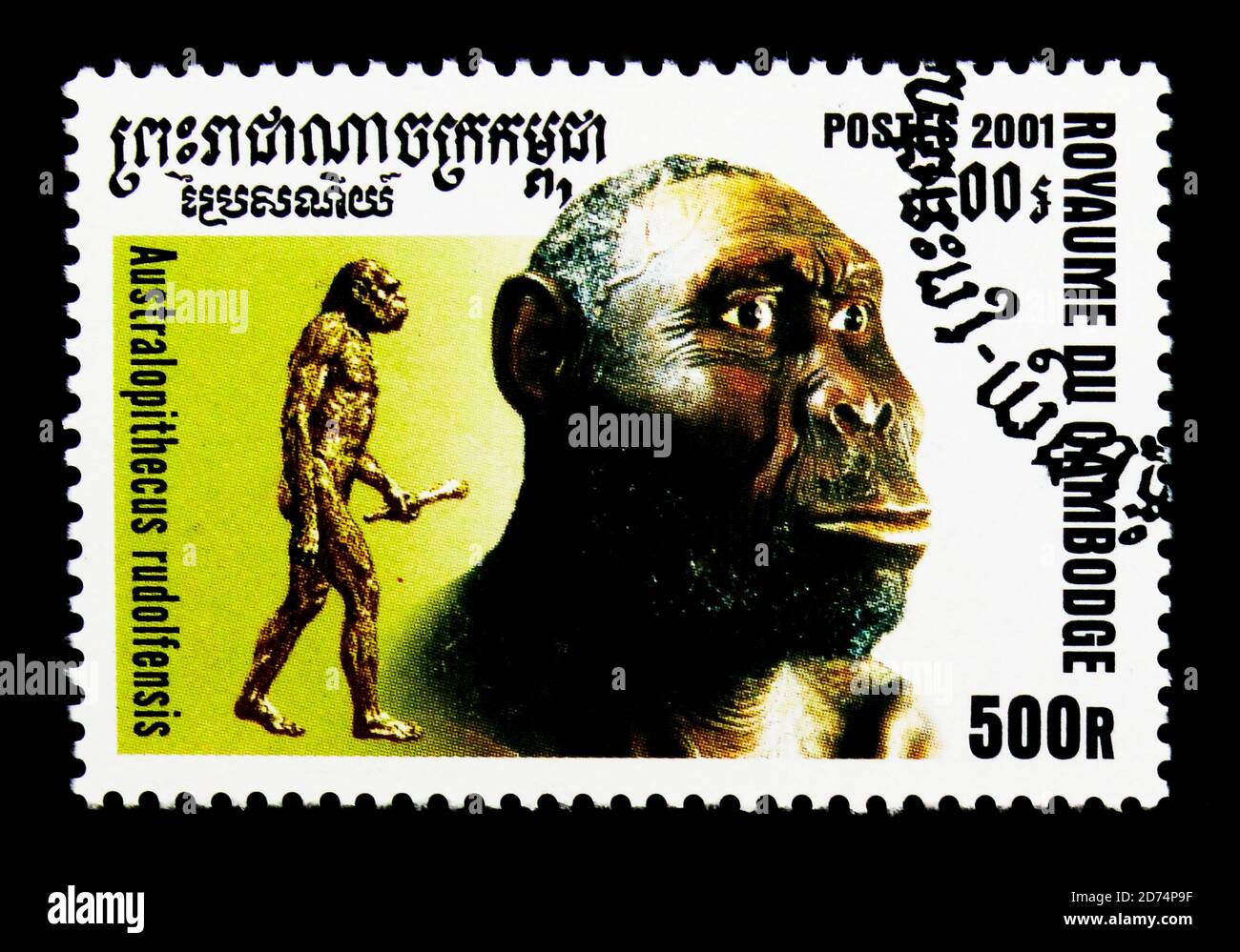 Australopithecus rudolfensis hi-res stock photography and images - Alamy