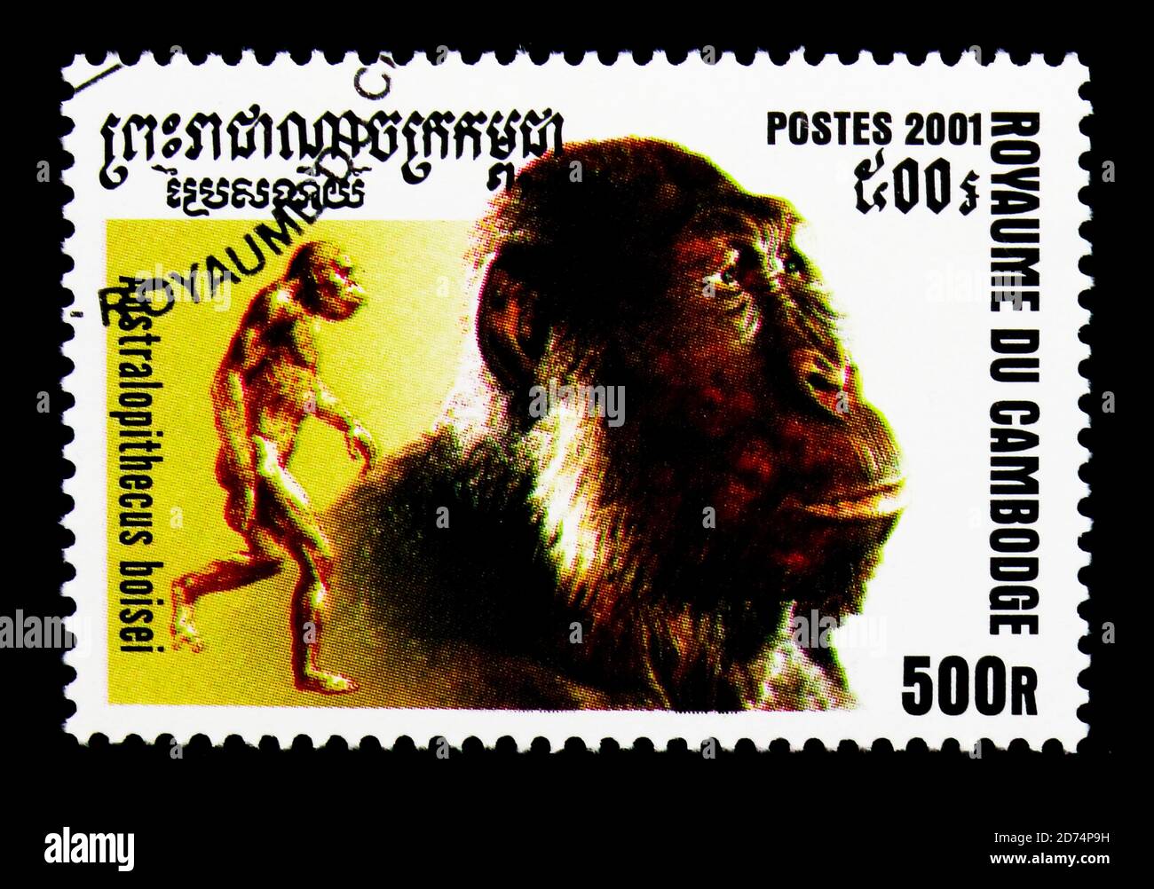 Australopithecus boisei hi-res stock photography and images - Alamy