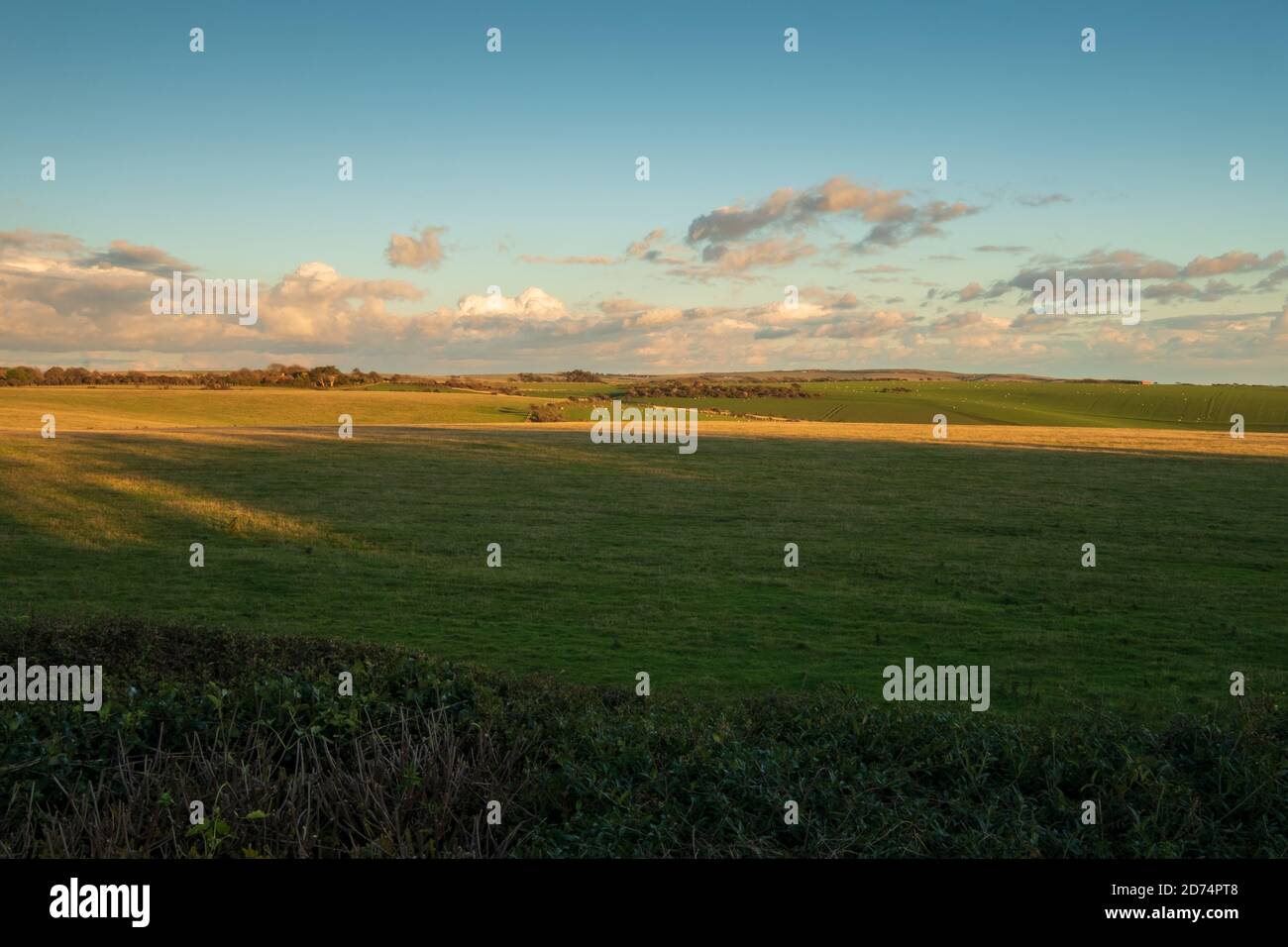 Friston hi-res stock photography and images - Alamy