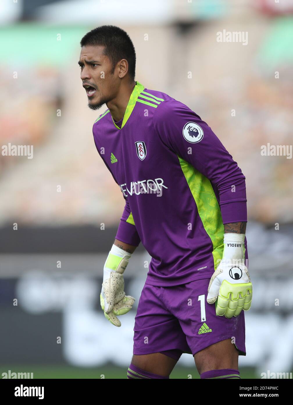 Fulham goalkeeper Alphonse Areola during the Premier League match at ...