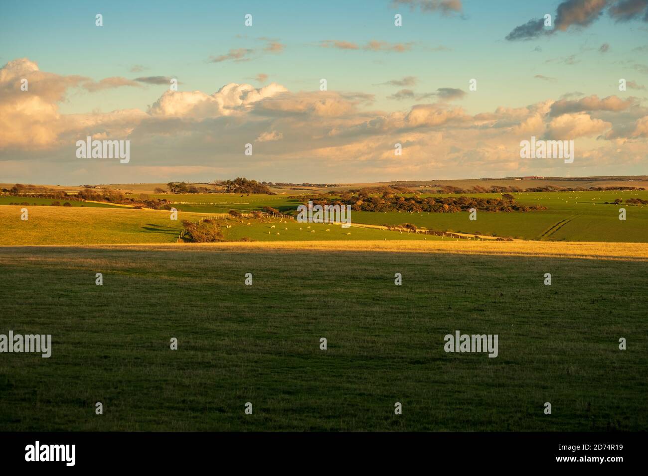 Friston hi-res stock photography and images - Alamy