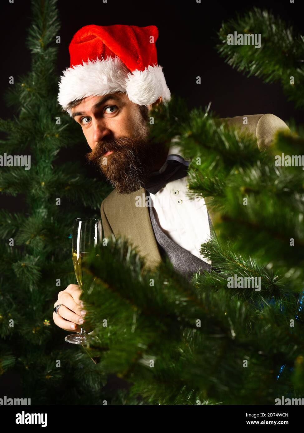 Manager with beard hides behind bald Christmas tree. Businessman with ...