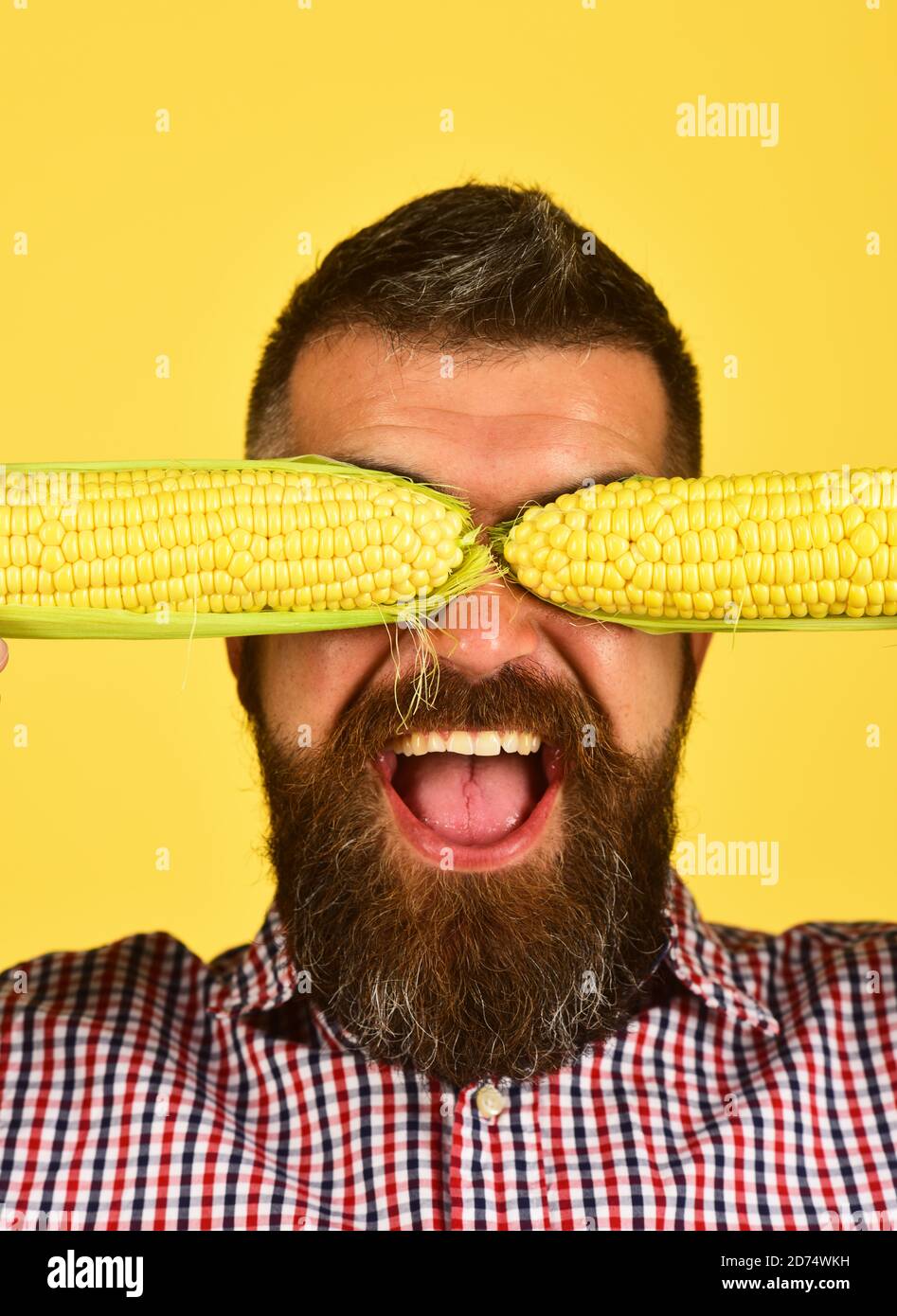 Farmer with cheerful face holds yellow corn covering his eyes. Man with ...
