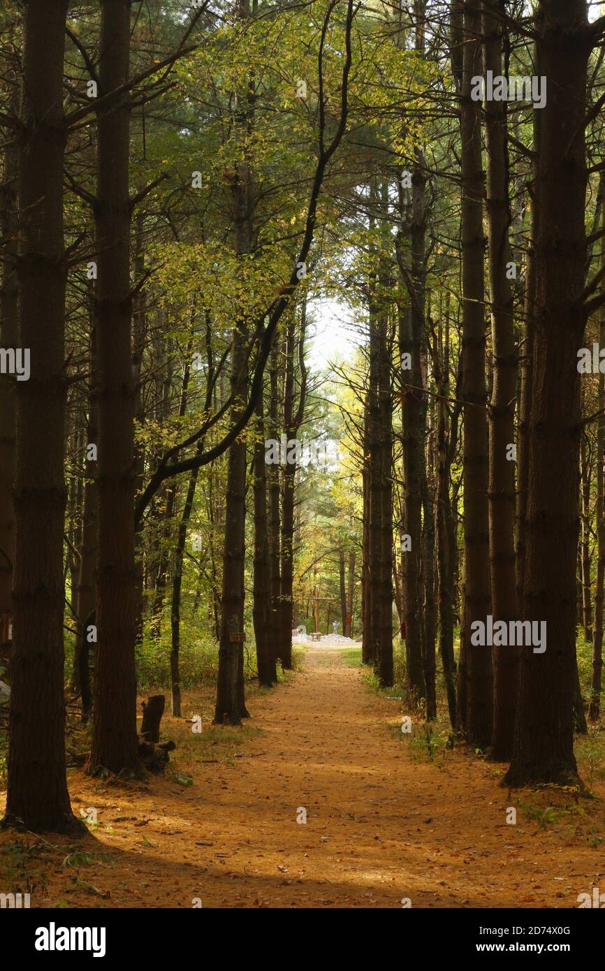 Enchanted Pines area. Daniel Weidle succumbed to his Opioid addiction ...