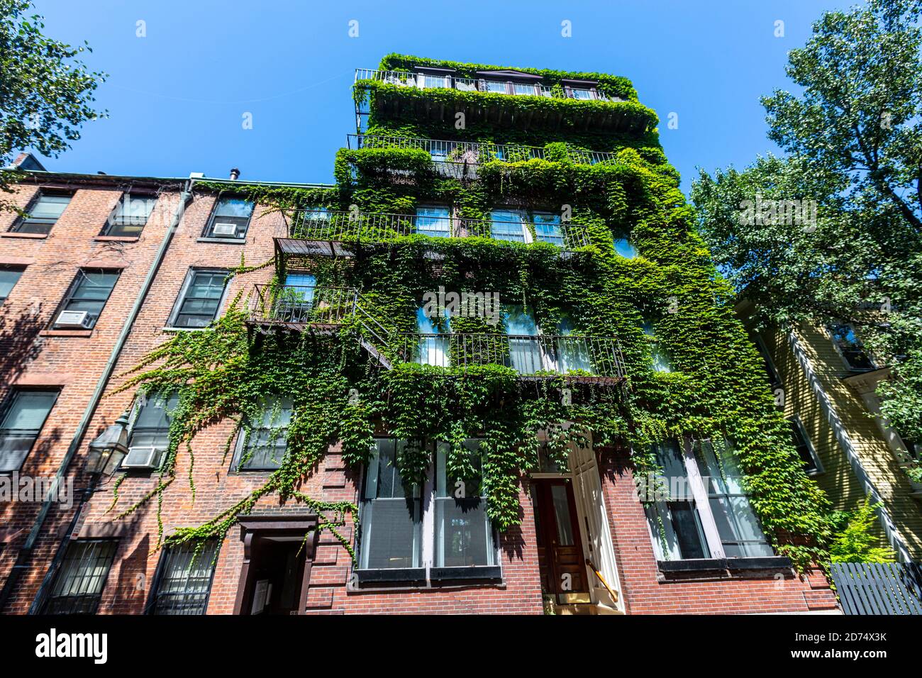 Ivy Covered Building Ivy Covered University Building Hi Res Stock