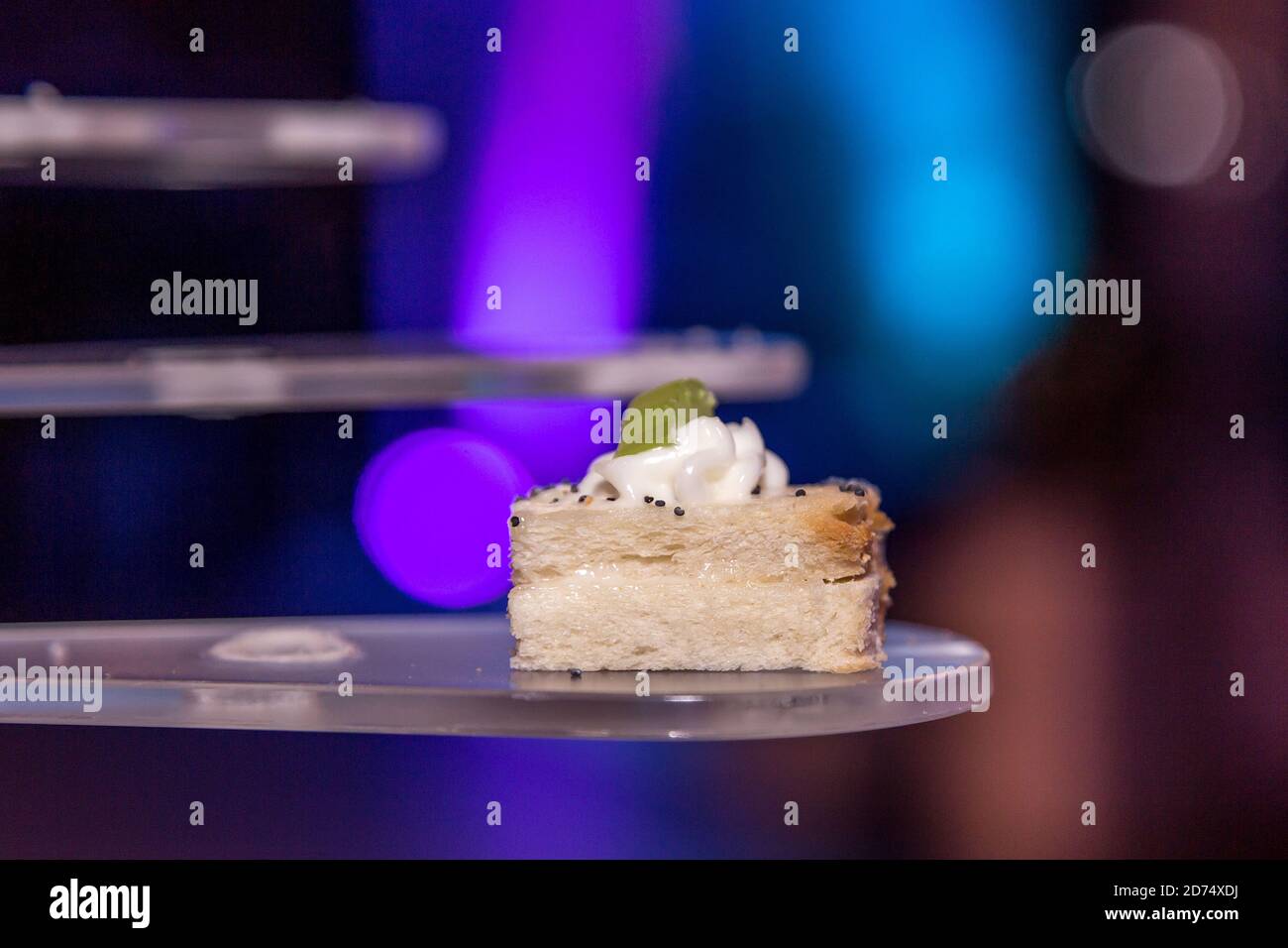 Close Up of meat dish on some festive event, party or wedding reception ...
