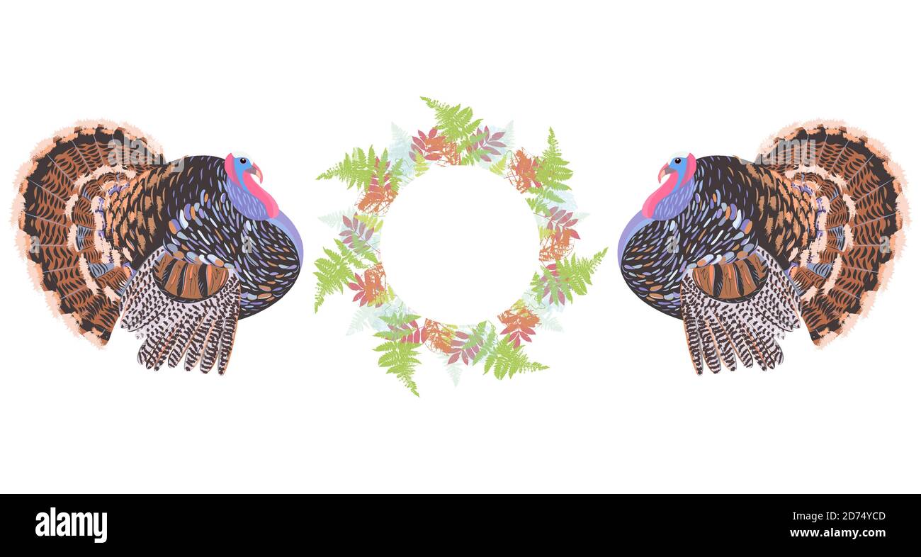 Male turkeys Stock Vector Images - Alamy