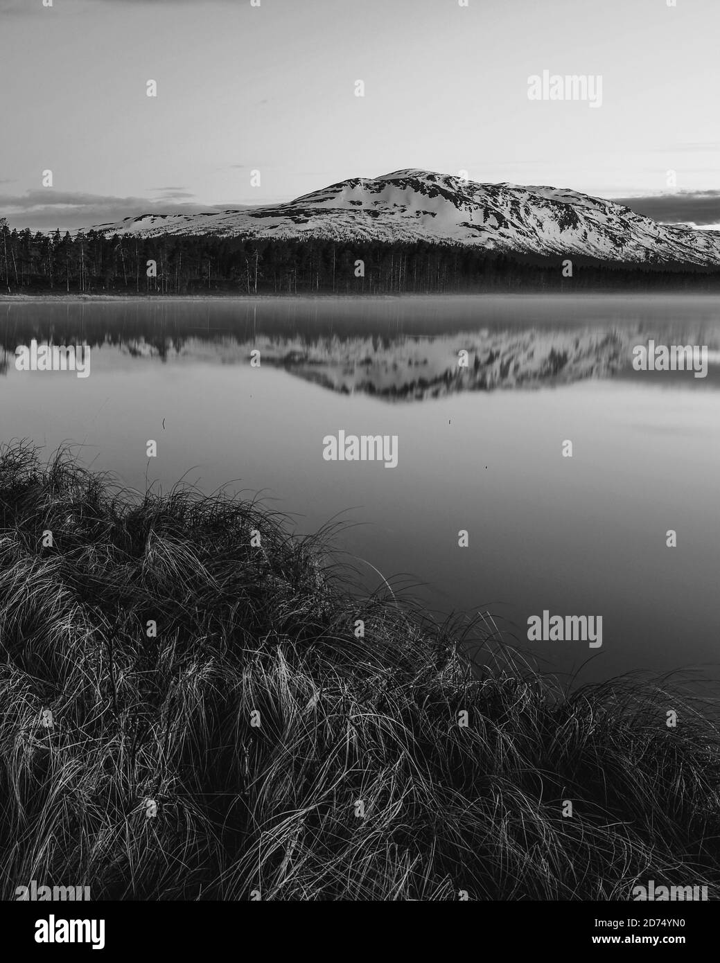 Greyscale vertical shot of a mountain and its reflection on the lake ...