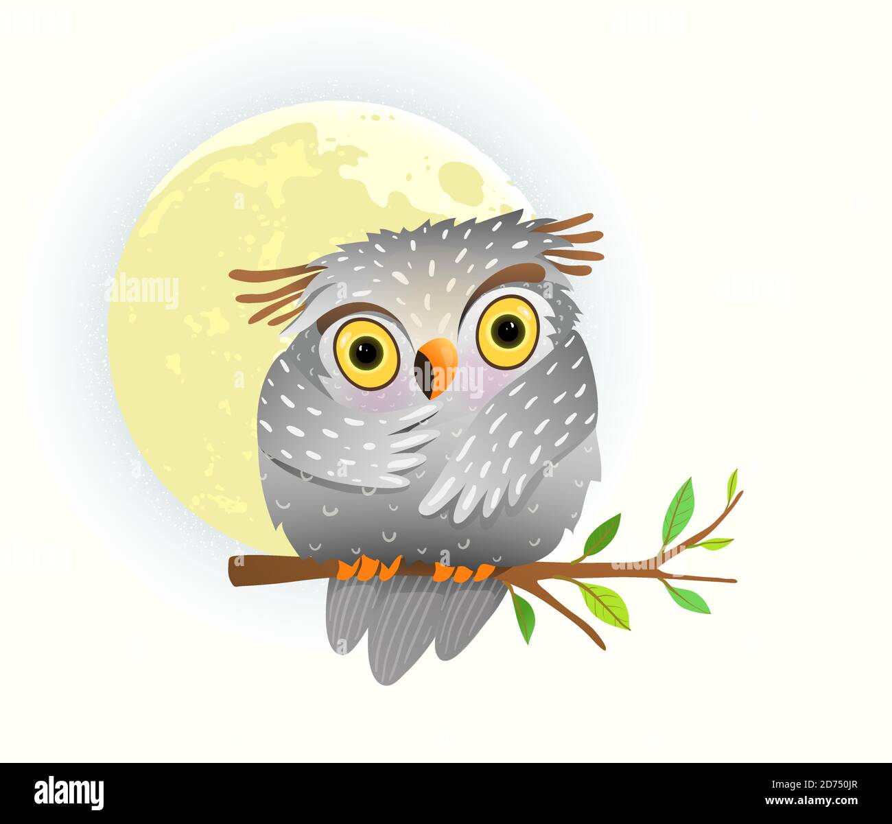 Baby Owl On Branch Clipart