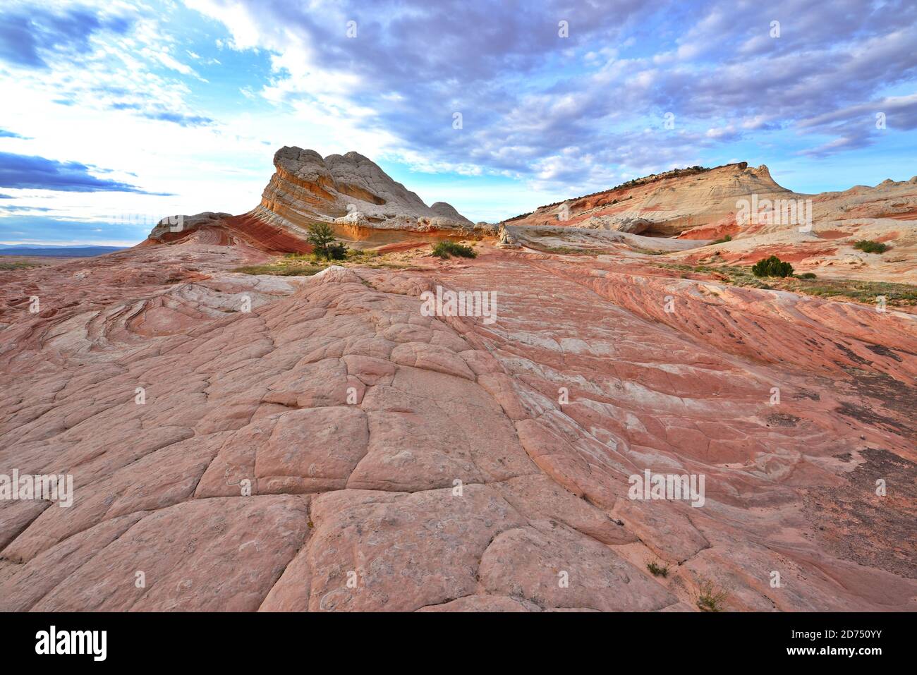 White Pocket Rock Formations in the Vermilion Cliffs National Monument ...