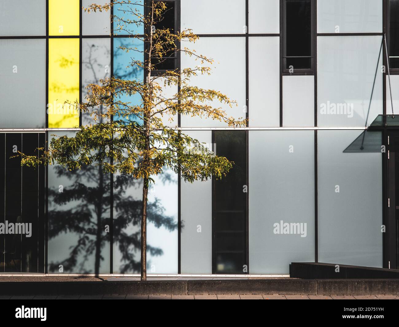 Closeup of a multi-colored glass facade of a modern building, a young ...