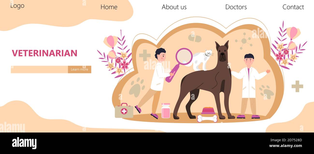 Vet nurse horse hi-res stock photography and images - Alamy