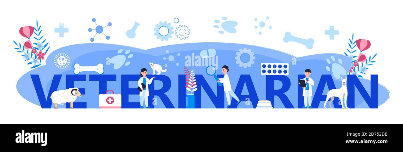 Veterinarian header concept vector. Animal doctors diagnosing diseases ...