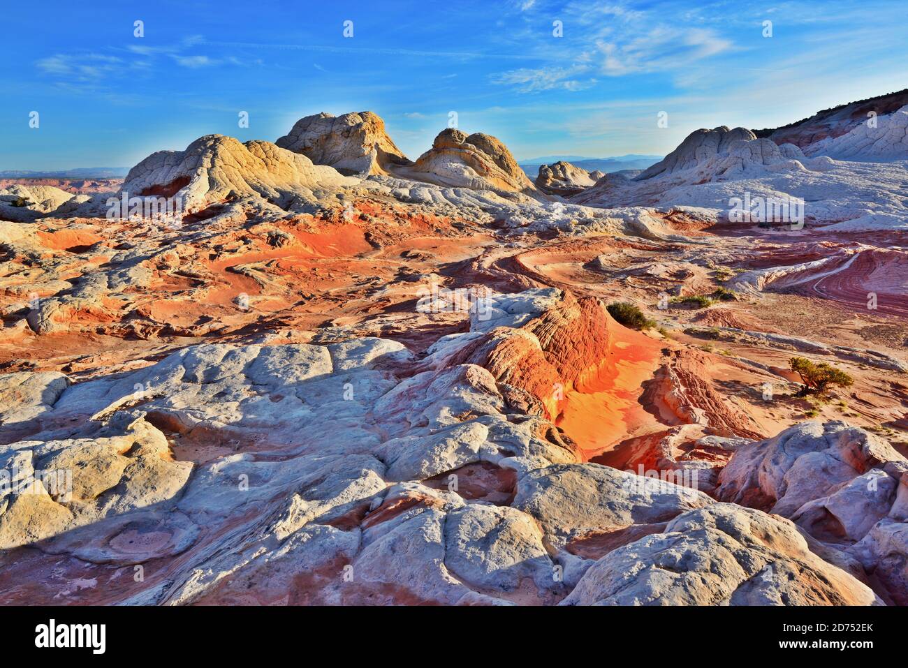 White Pocket Rock Formations in the Vermilion Cliffs National Monument ...