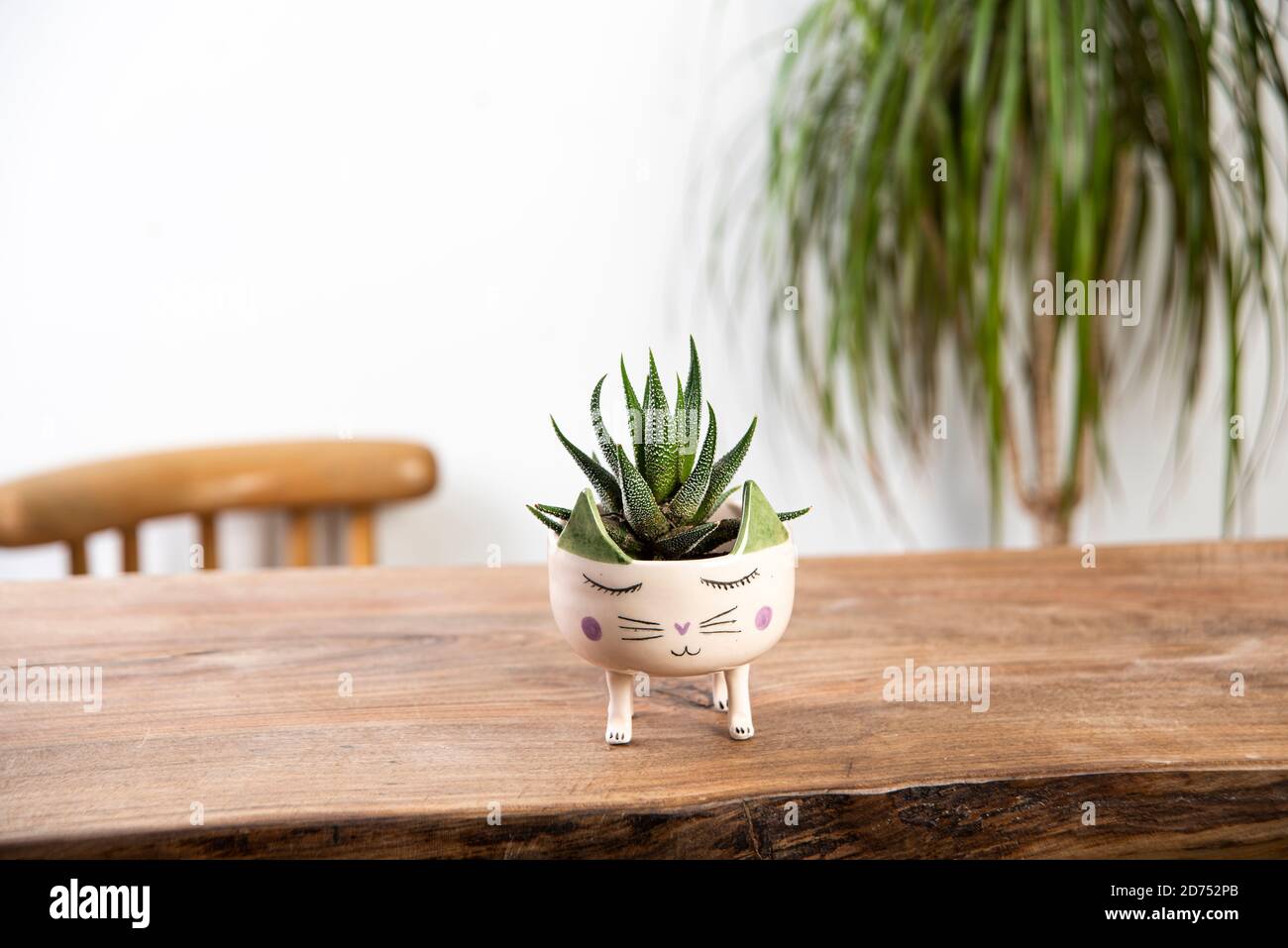 Ceramic cat collection hi-res stock photography and images - Alamy