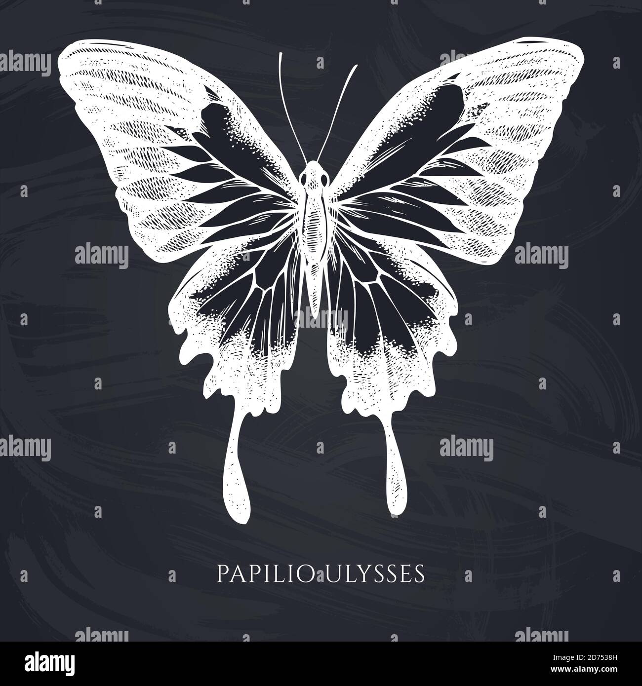 Vector set of hand drawn chalk blue emperor Stock Vector Image & Art ...