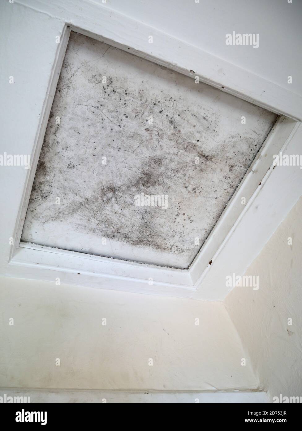 Mould growing on uninsulated ceiling loft hatch Stock Photo - Alamy