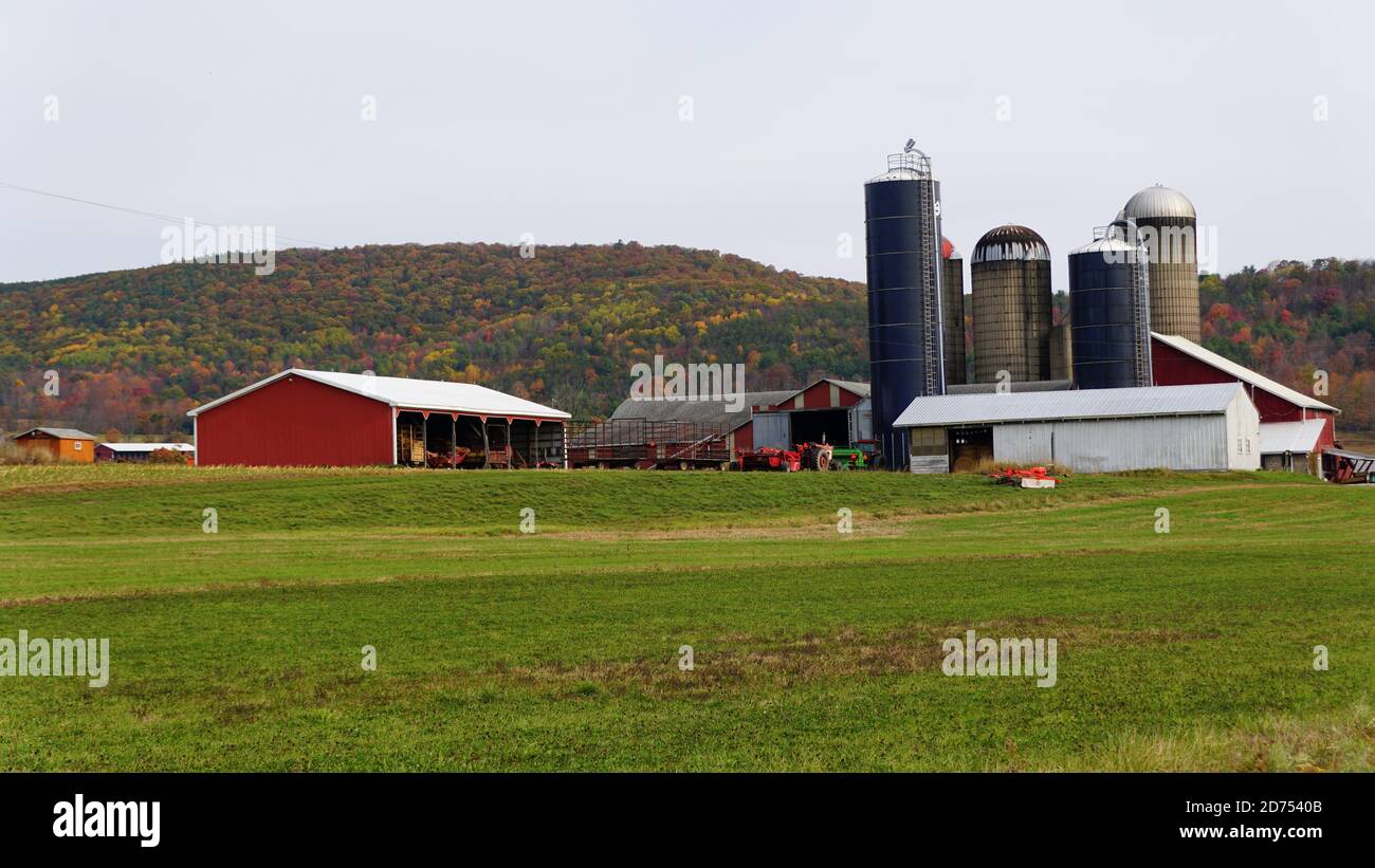 A farm surrounded by striking color of fall foliage near Troy ...