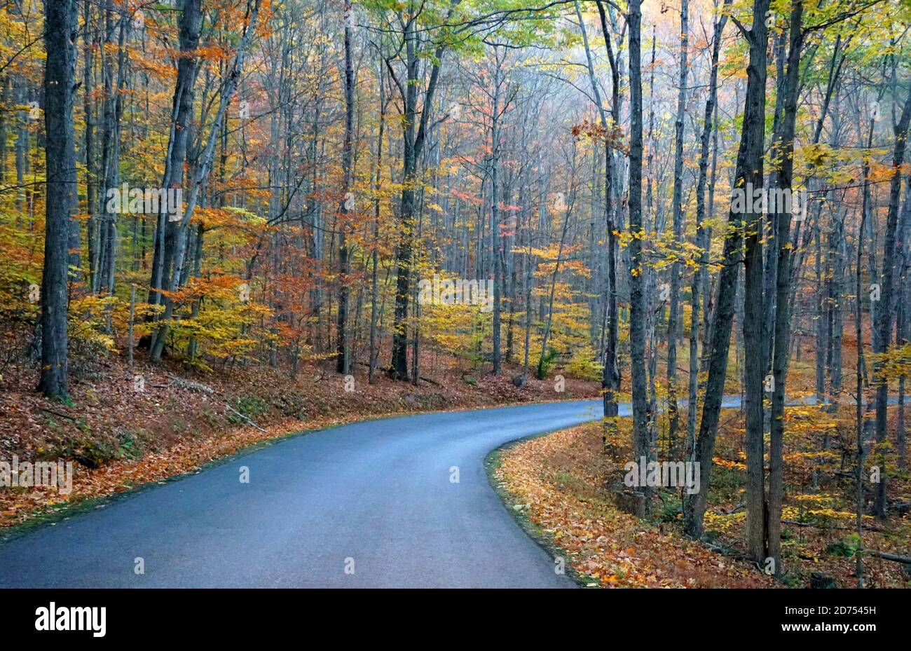 An empty road overlooking the striking colors of fall foliage near ...