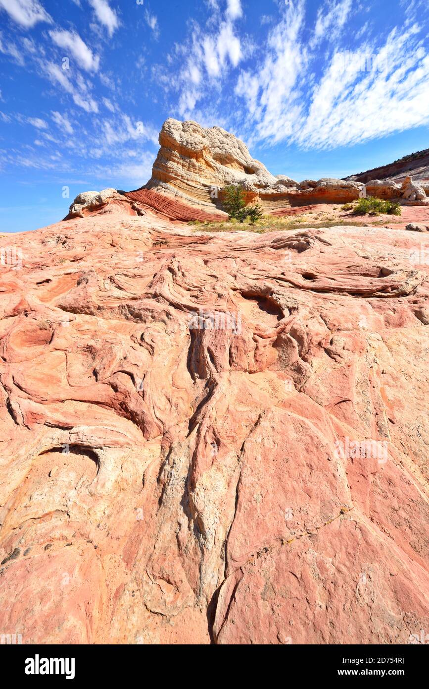 Area of white pocket hi-res stock photography and images - Alamy