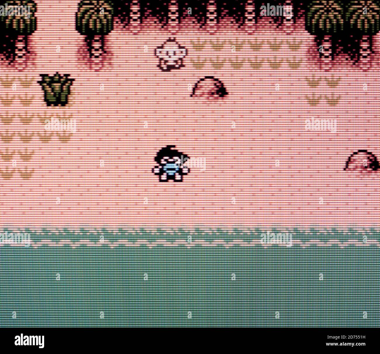 Survival Kids - Nintendo Game Boy Color Videogame - Editorial use only ...