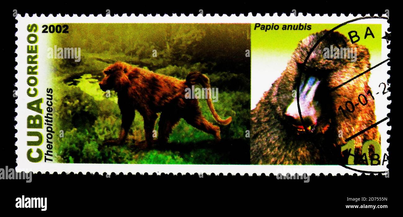 Prehistoric fauna series hi-res stock photography and images - Alamy