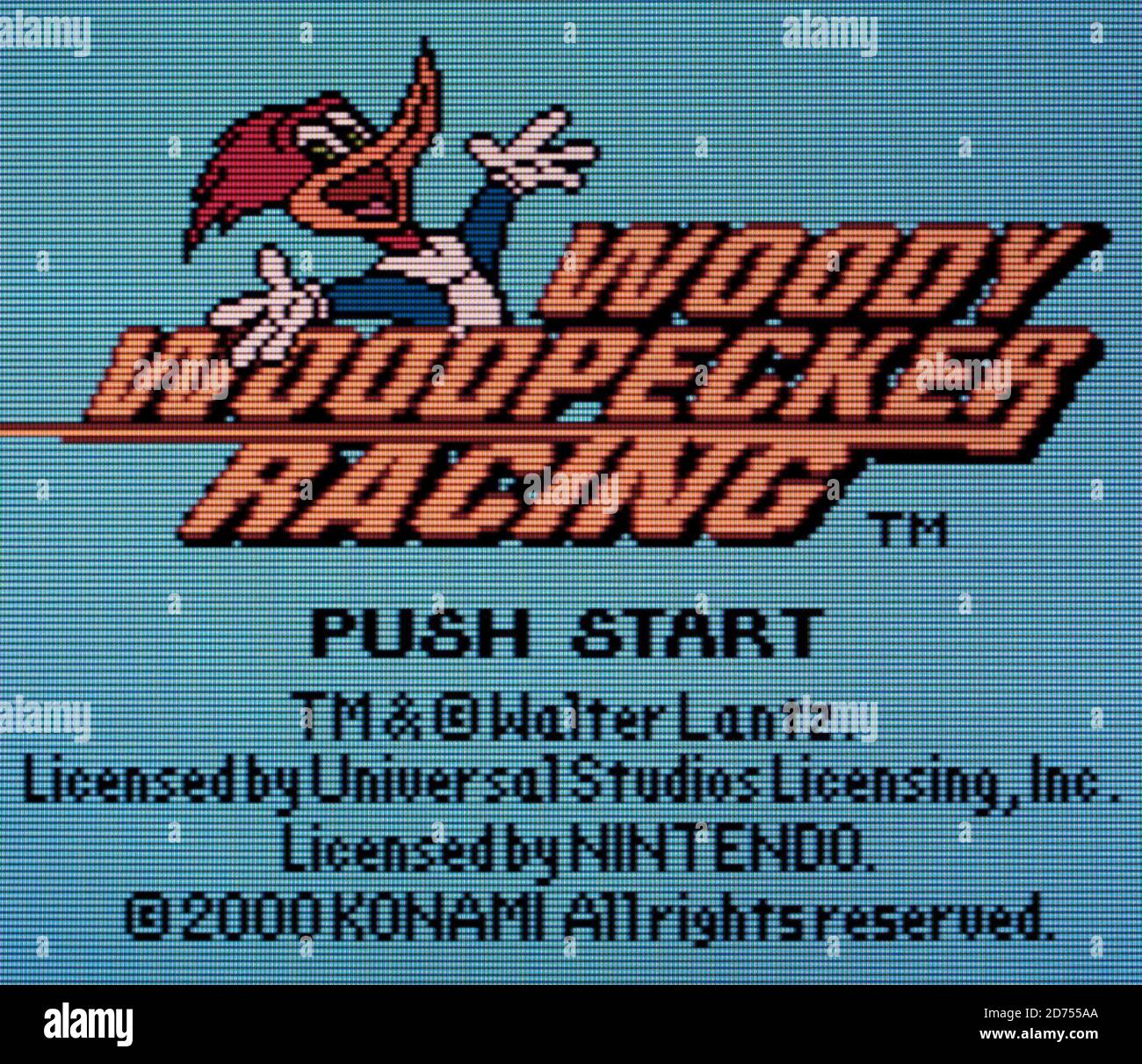 Woody Woodpecker Racing