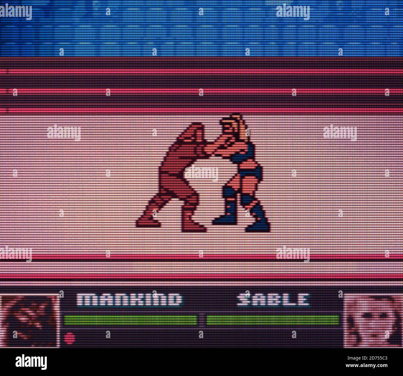 WWF Attitude - Nintendo Game Boy Color Videogame - Editorial use only ...