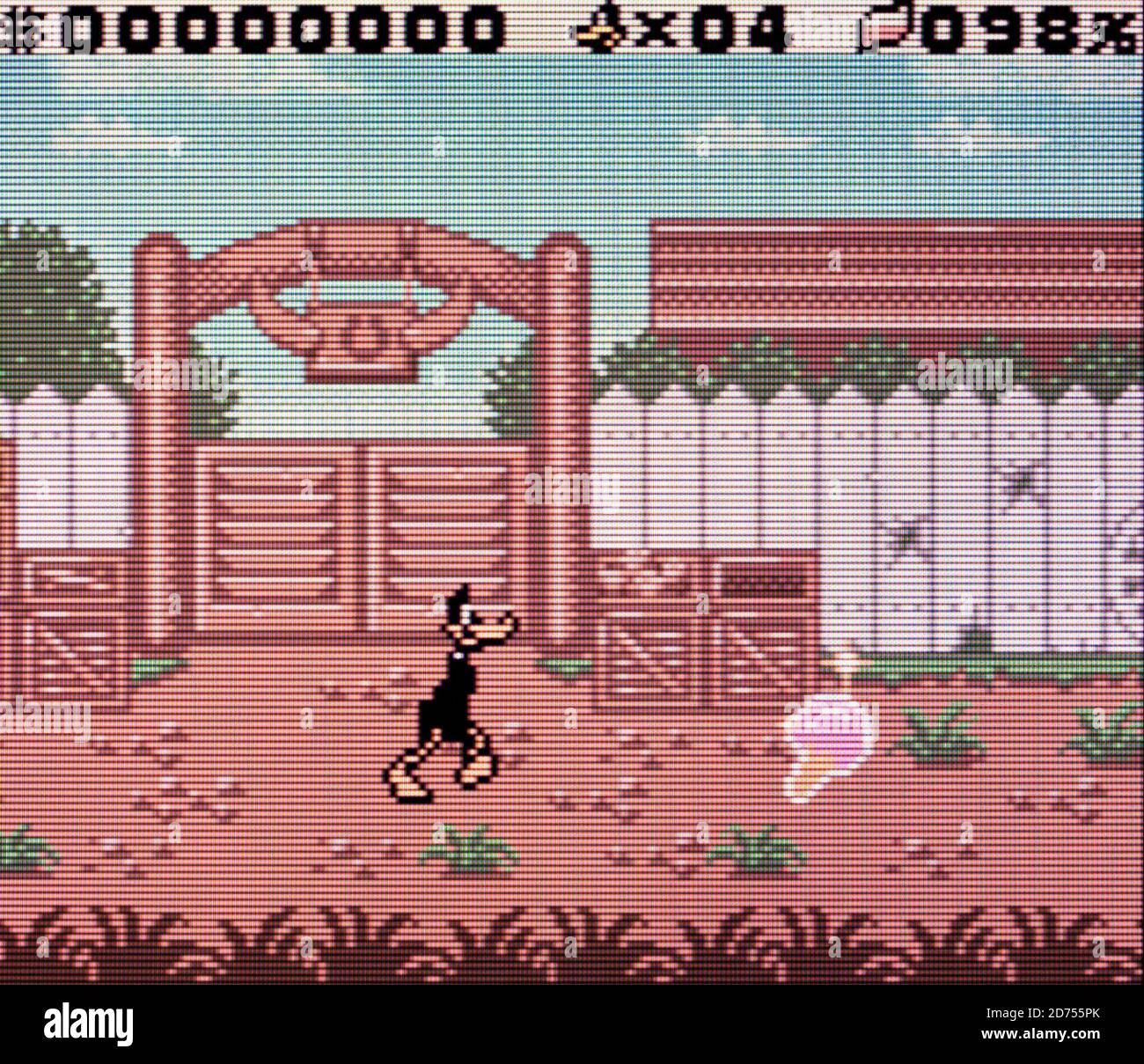 Daffy Duck Fowl Play - Nintendo Game Boy Color Videogame - Editorial ...