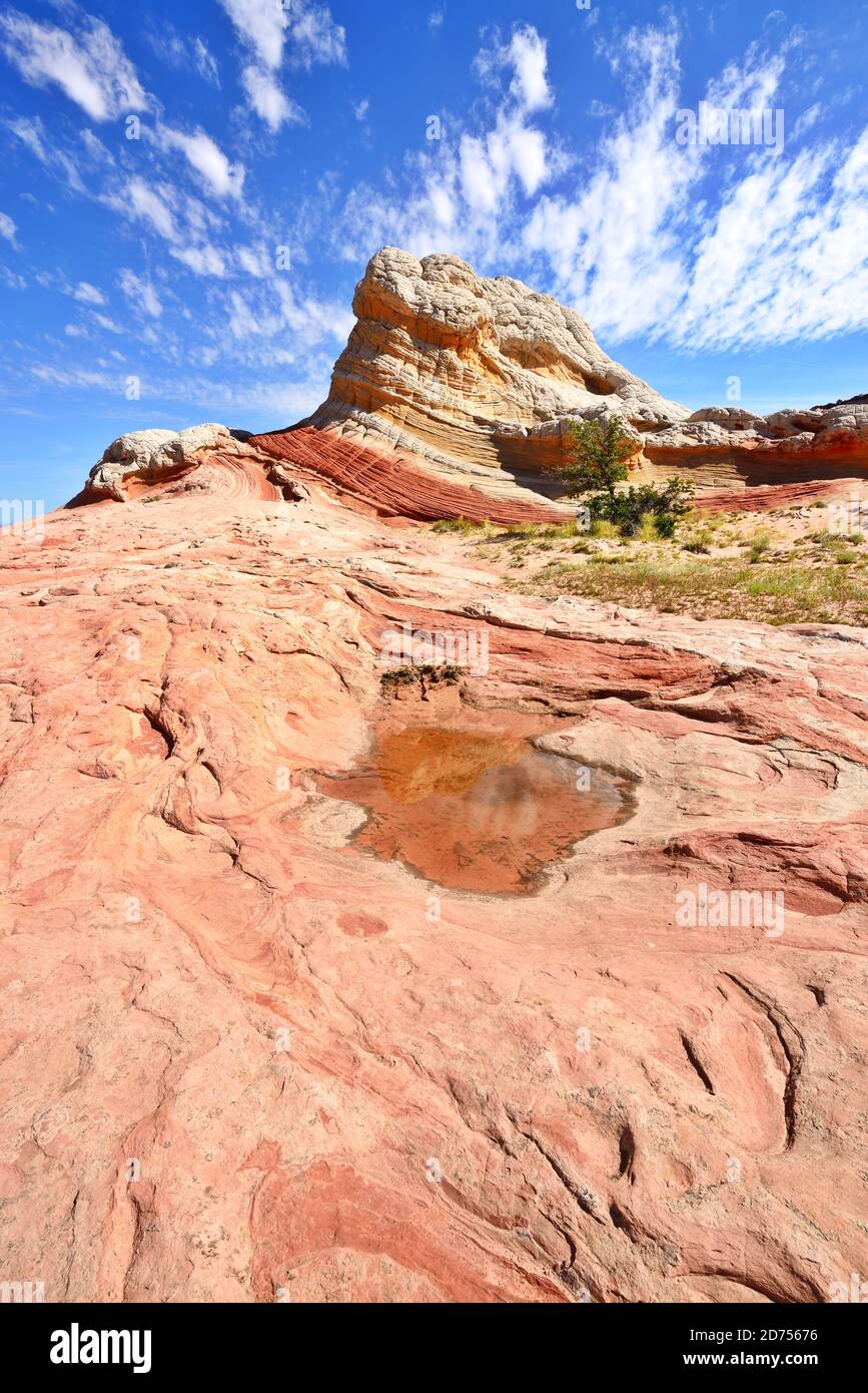 White Pocket Rock Formations in the Vermilion Cliffs National Monument ...