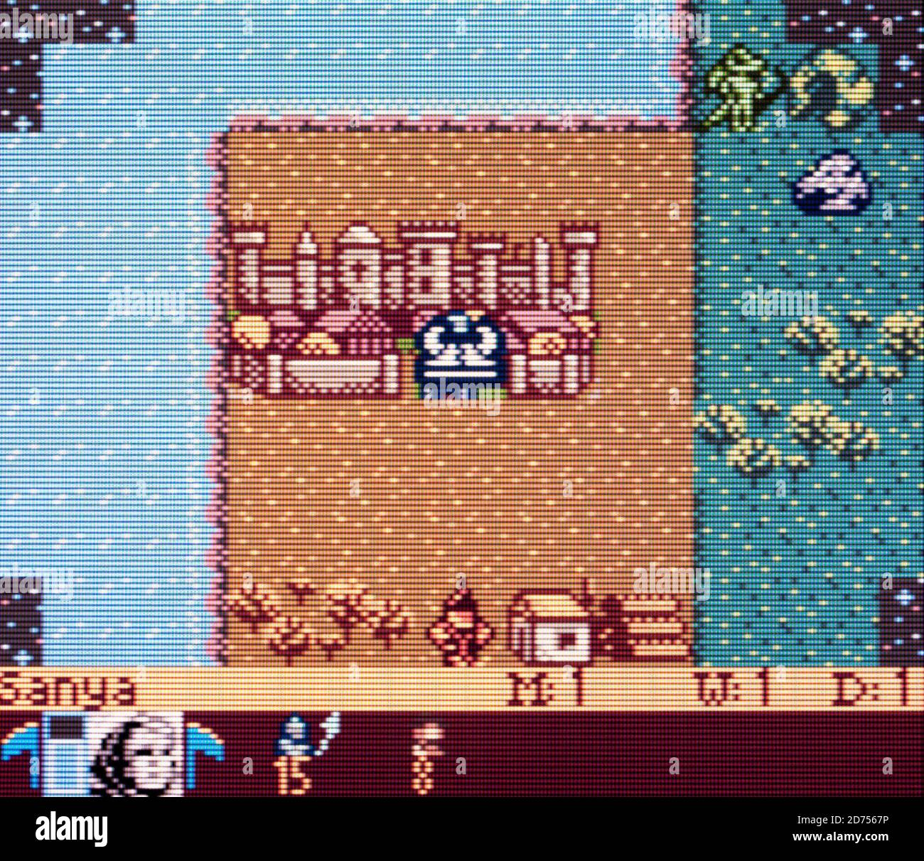 Heroes of Might and Magic II - Nintendo Game Boy Color Videogame ...