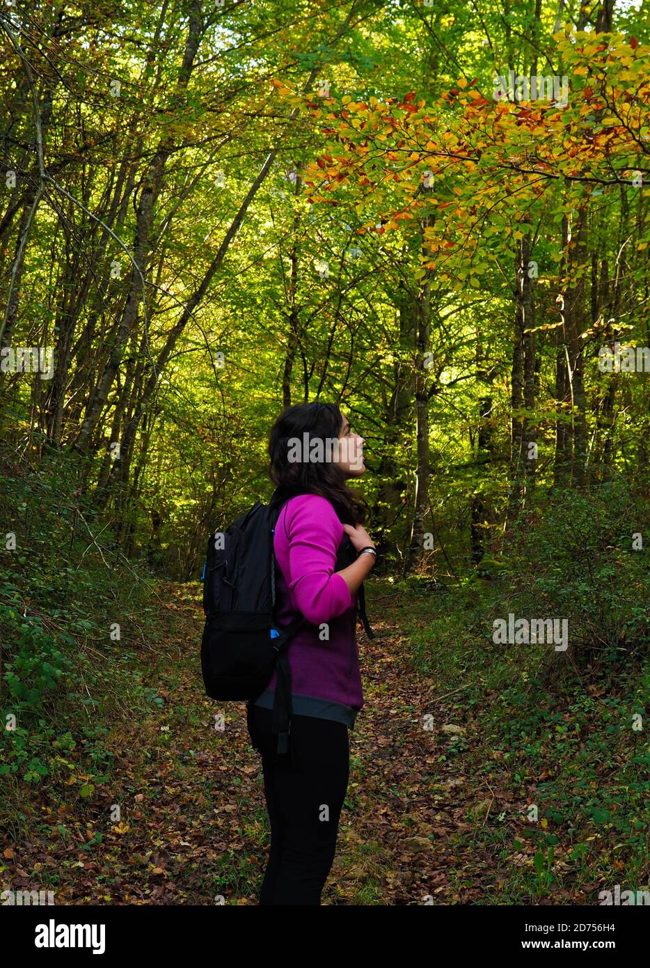 young woman walking in the forest with a backpack Stock Photo - Alamy