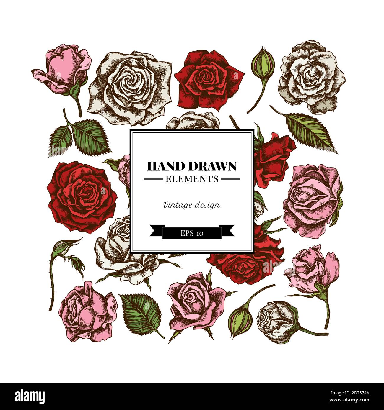 Square floral design with colored roses Stock Vector Image & Art - Alamy