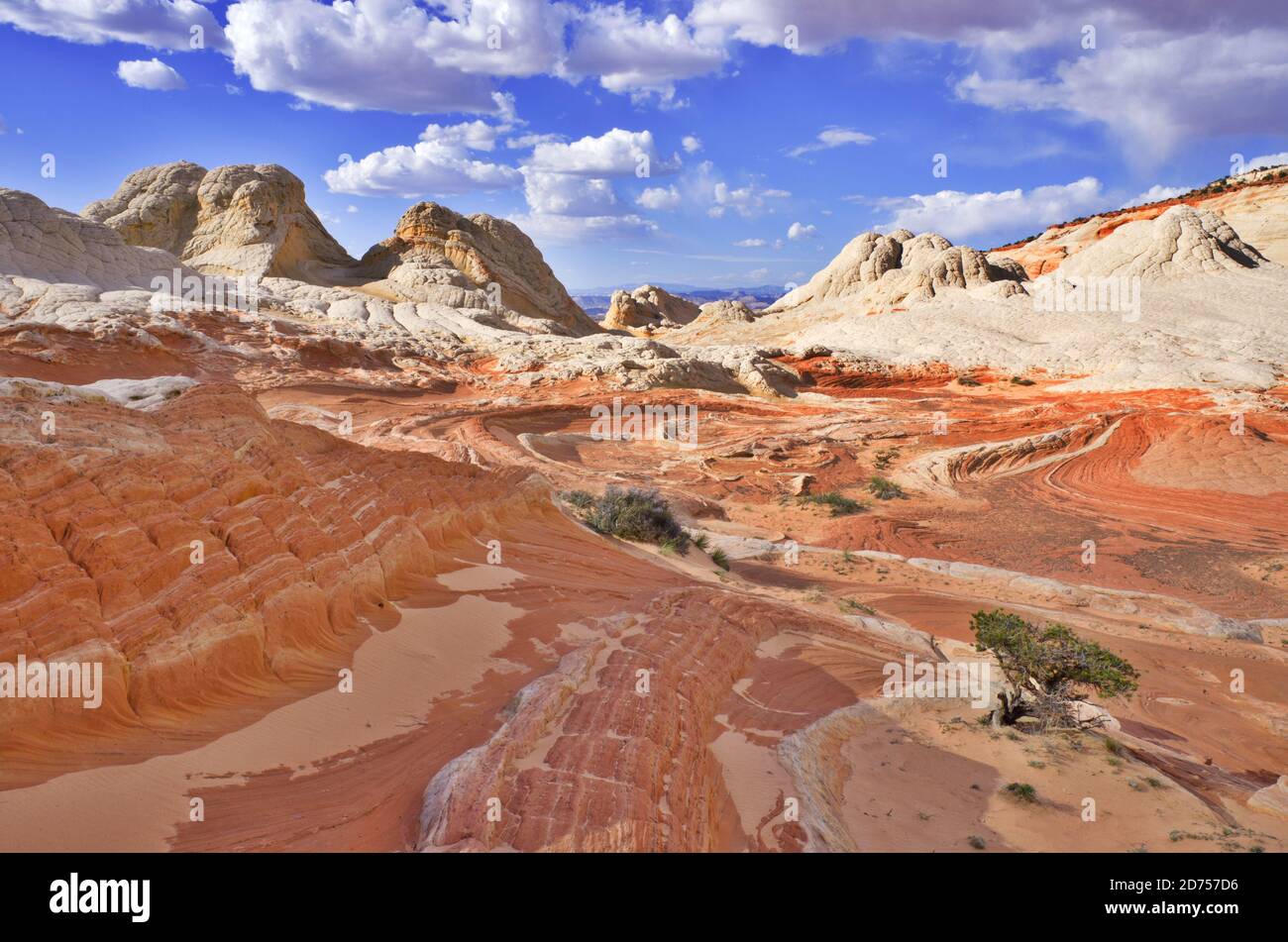 White Pocket Rock Formations in the Vermilion Cliffs National Monument ...
