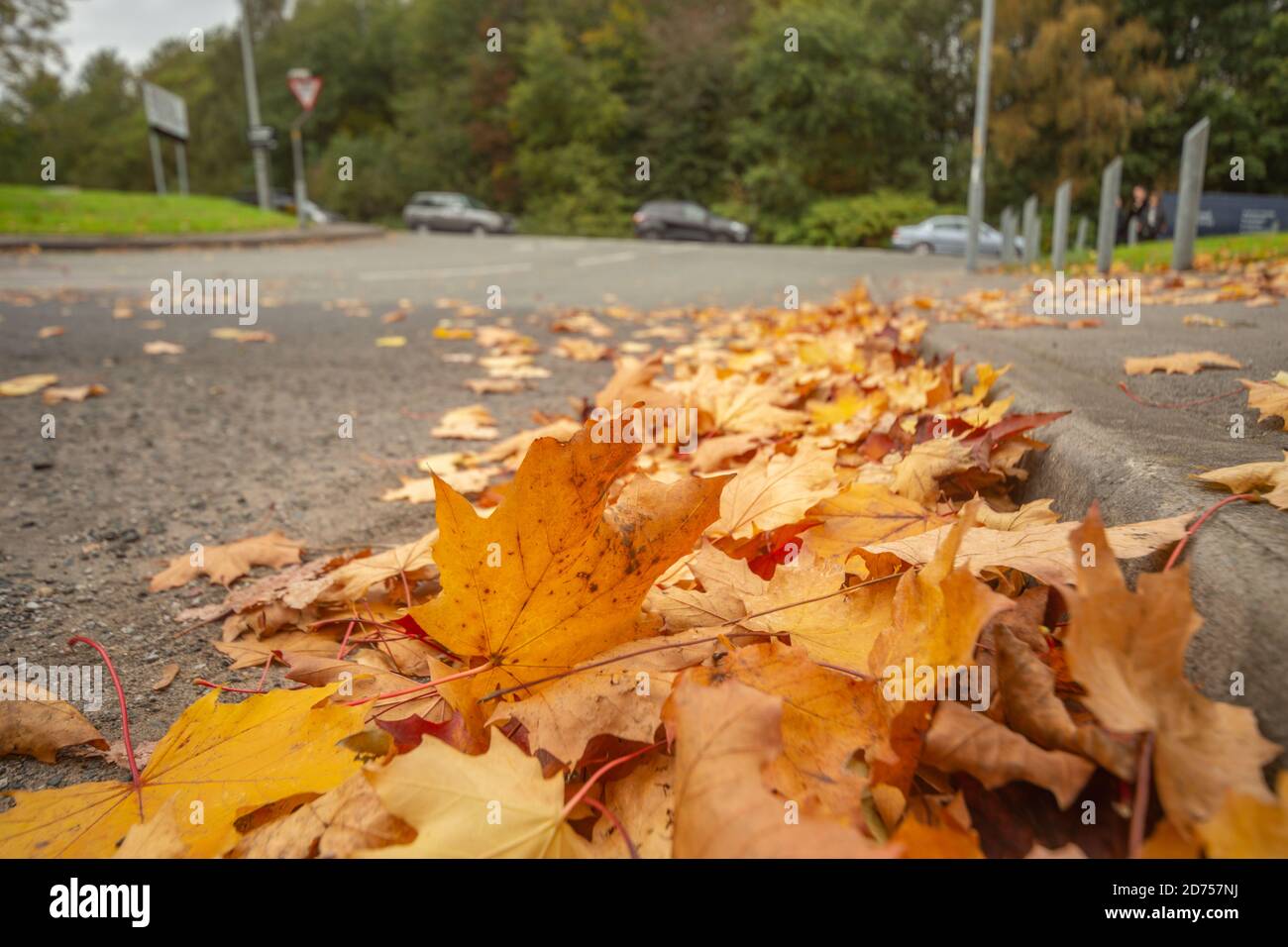 Slow fall hi-res stock photography and images - Alamy